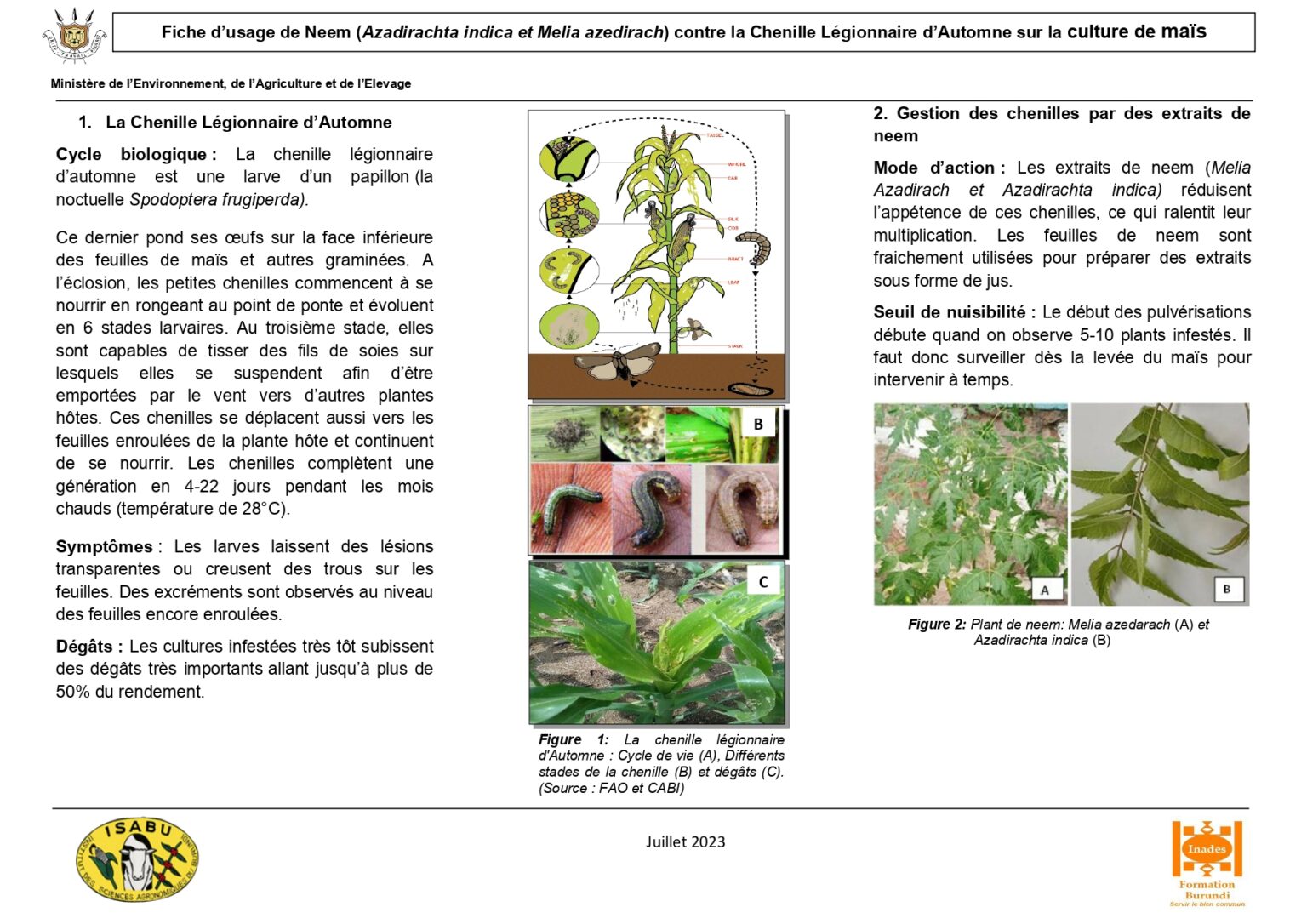 BURUNDI: PROMOTION OF AGROECOLOGICAL PESTICIDES AGAINST PESTS ON MAIZE ...