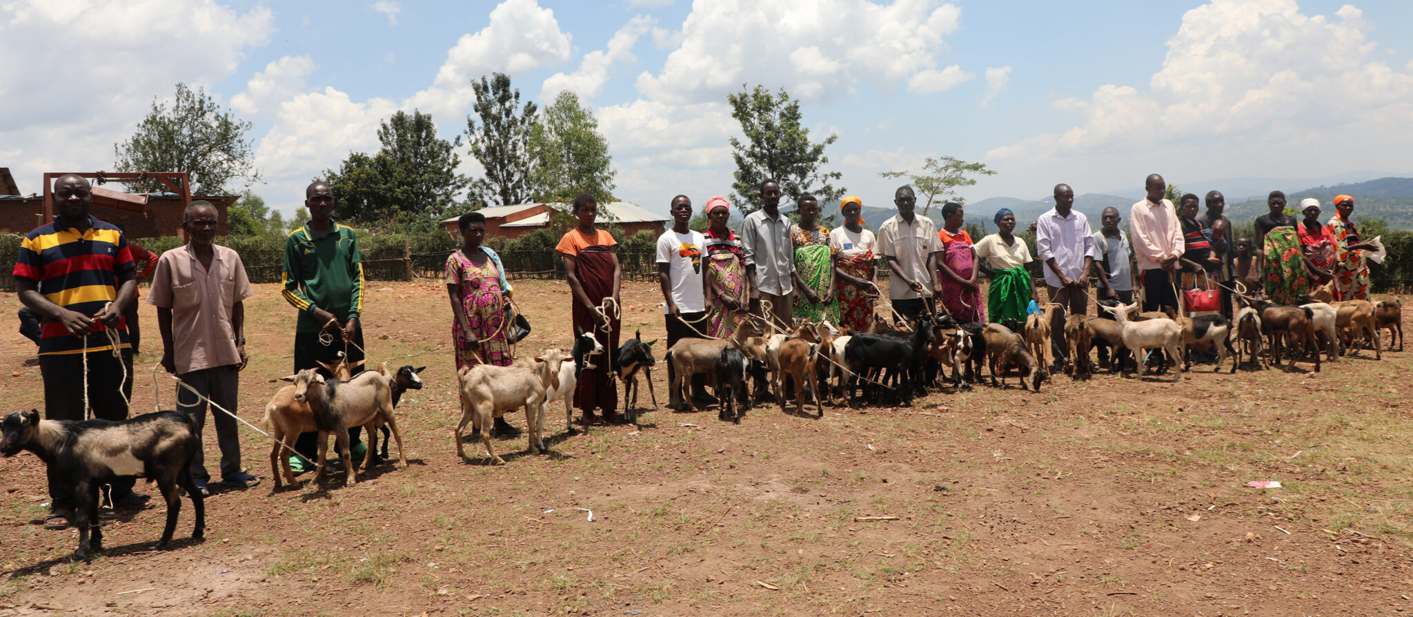 PROMOTING AGROECOLOGY THROUGH THE GOAT SOLIDARITY CHAIN – INADES-Formation